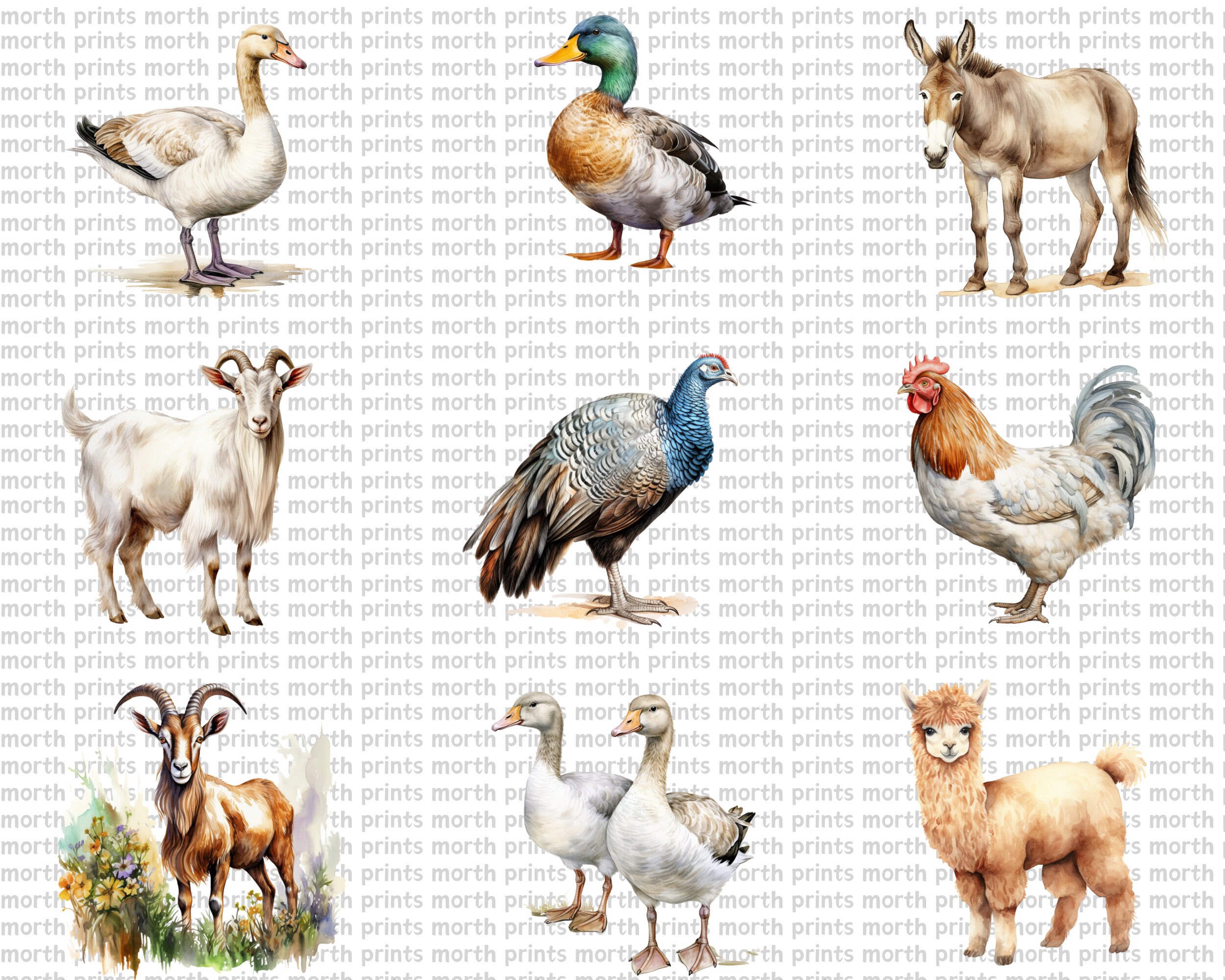 Watercolor Farm Animals Clipart PNG, Cow Pig Horse Goat Sheep, 55 PNG ...