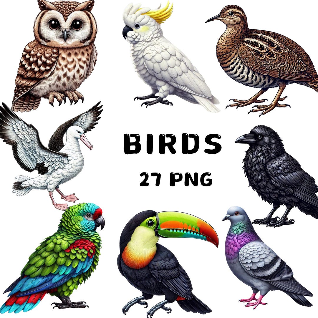 Birds Clipart Bundle, Watercolor Birds PNG, Baby Birds on Floral ...