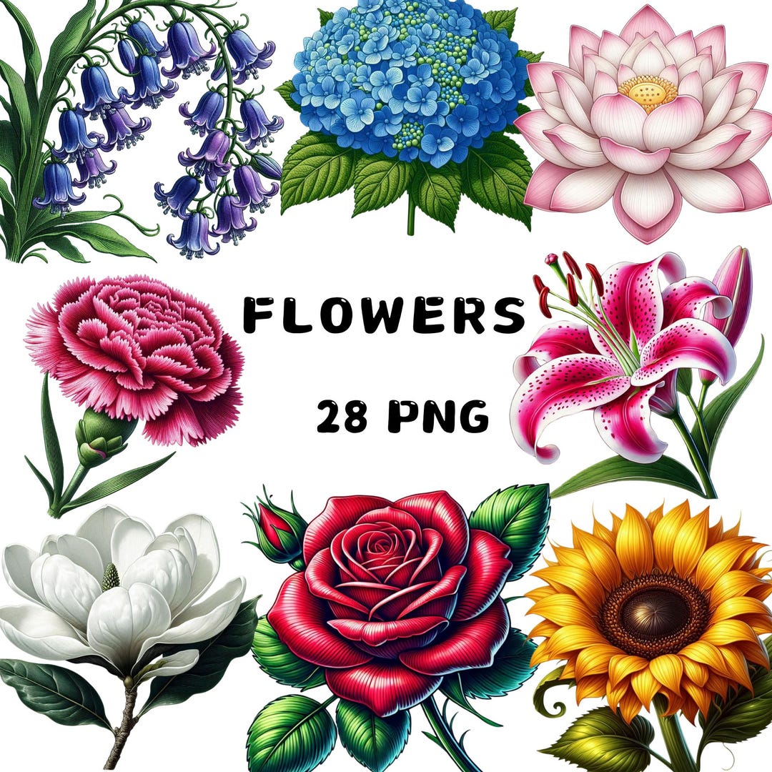 28 PNG Flowers Clipart , Floral Png, Daisy, Lily, Tulip, Snowdrop ...