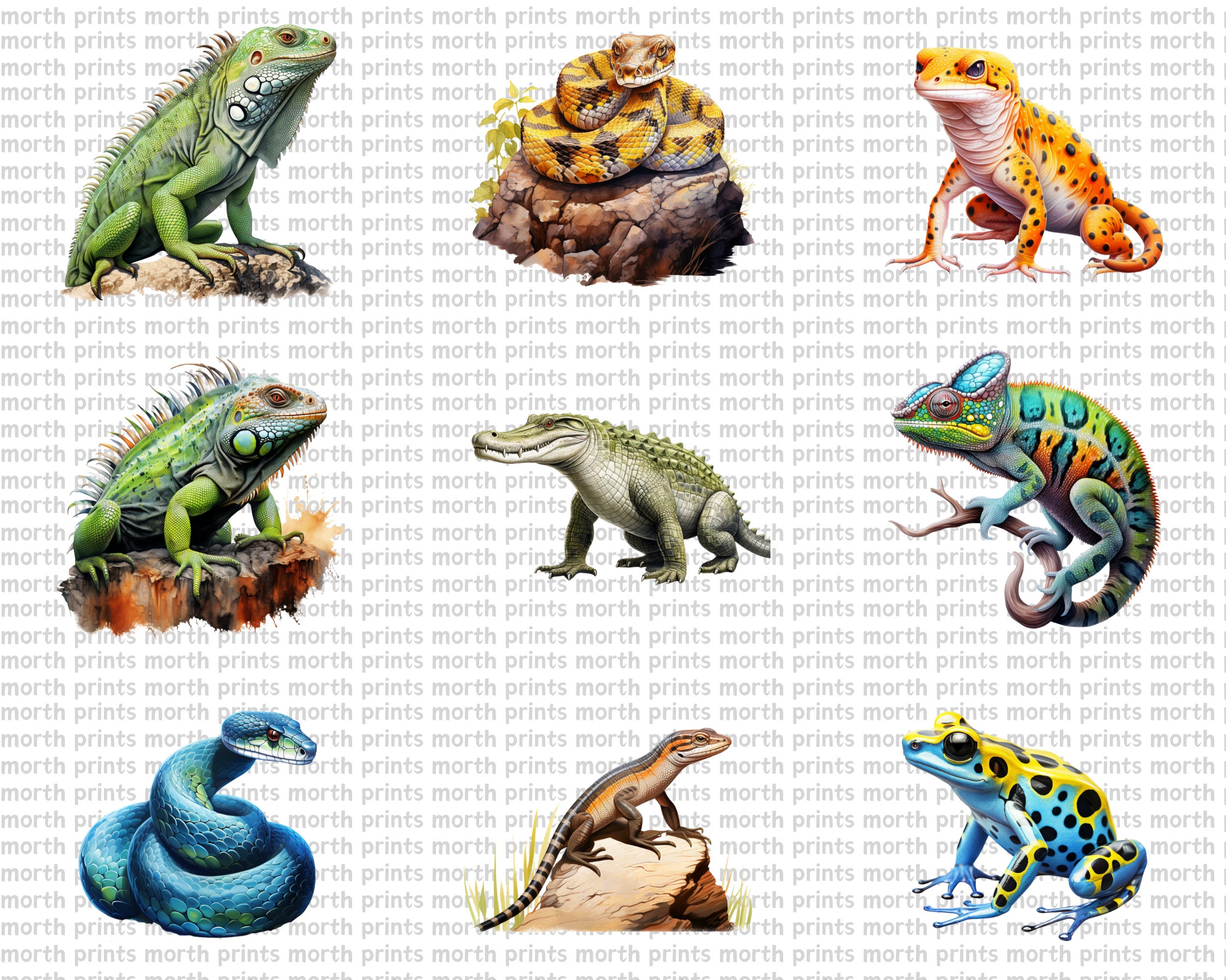 Watercolor Reptiles Clipart, Snake, Lizard & Turtle, 45 PNG Files, 300 ...