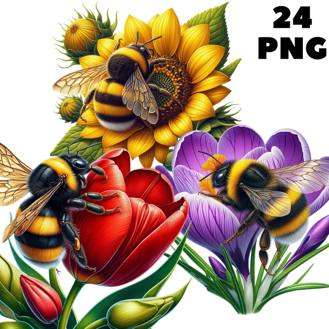 24 PNG, Bumblebee on Flower Clipart, Bumblebee Clipart, Bumblebee Png ...
