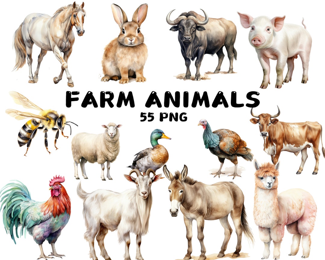 Watercolor Farm Animals Clipart PNG, Cow Pig Horse Goat Sheep, 55 PNG ...
