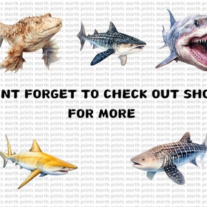 70 Watercolor Sharks Clipart , Great White Shark, Tiger Shark, Bull ...