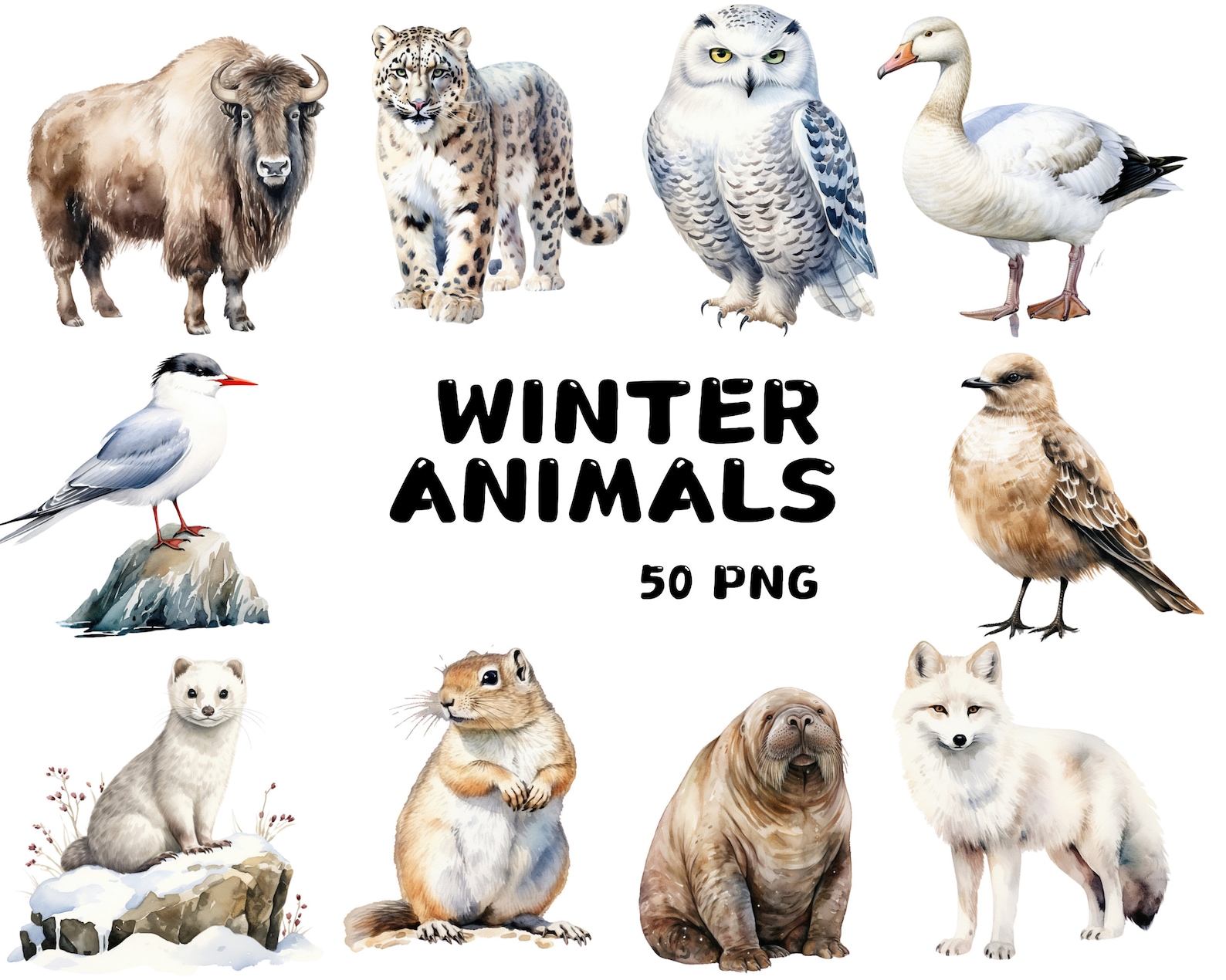 50 Watercolor Winter Animals Clipart polar Bear, Penguin, Snow Leopard ...