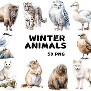 50 Watercolor Winter Animals Clipart ,polar Bear, Penguin, Snow Leopard ...
