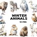 50 Watercolor Winter Animals Clipart polar Bear, Penguin, Snow Leopard ...