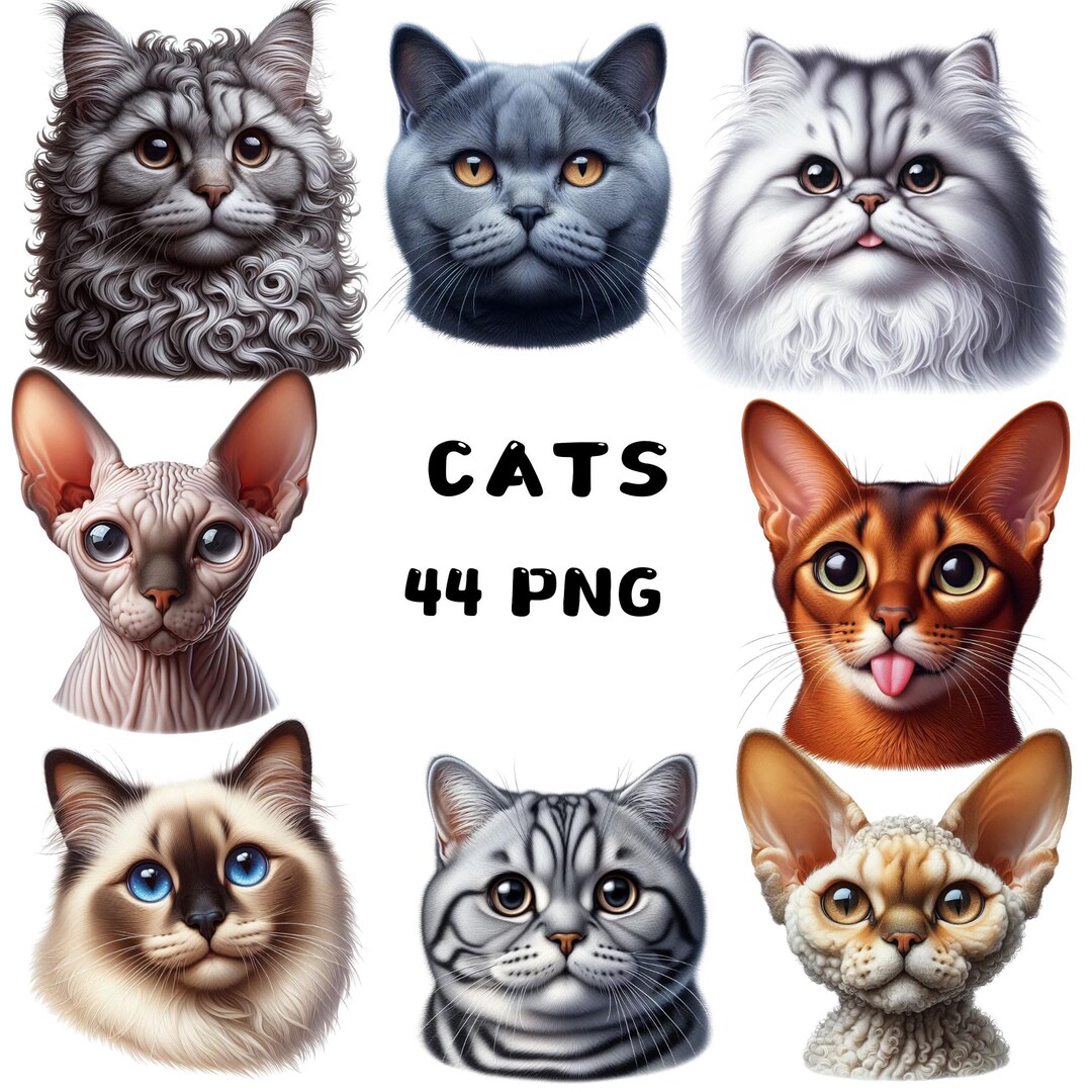 Watercolor Cat Clipart, Cute Kitty PNG Bundle for Cards, Stickers, Pet ...