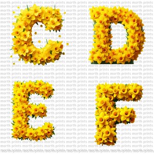 38 PNG Daffodil Alphabet Clipart , Alphabet PNG, Floral Clipart, Floral ...
