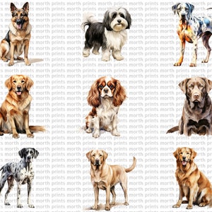 Watercolor Dog Breeds Clipart PNG, Labrador & Golden Retriever, 50 PNG ...