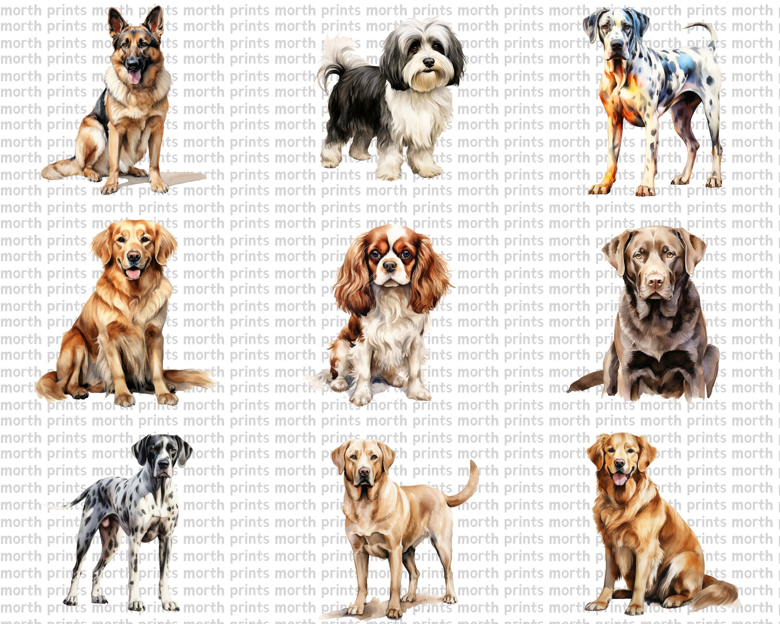 Watercolor Dog Breeds Clipart PNG, Labrador & Golden Retriever, 50 PNG ...
