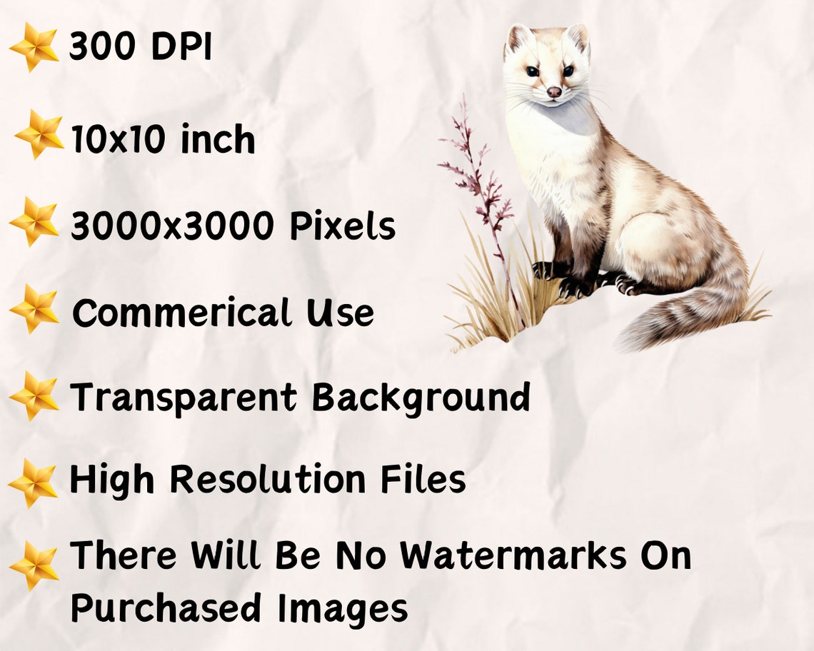 50 Watercolor Winter Animals Clipart polar Bear, Penguin, Snow Leopard ...