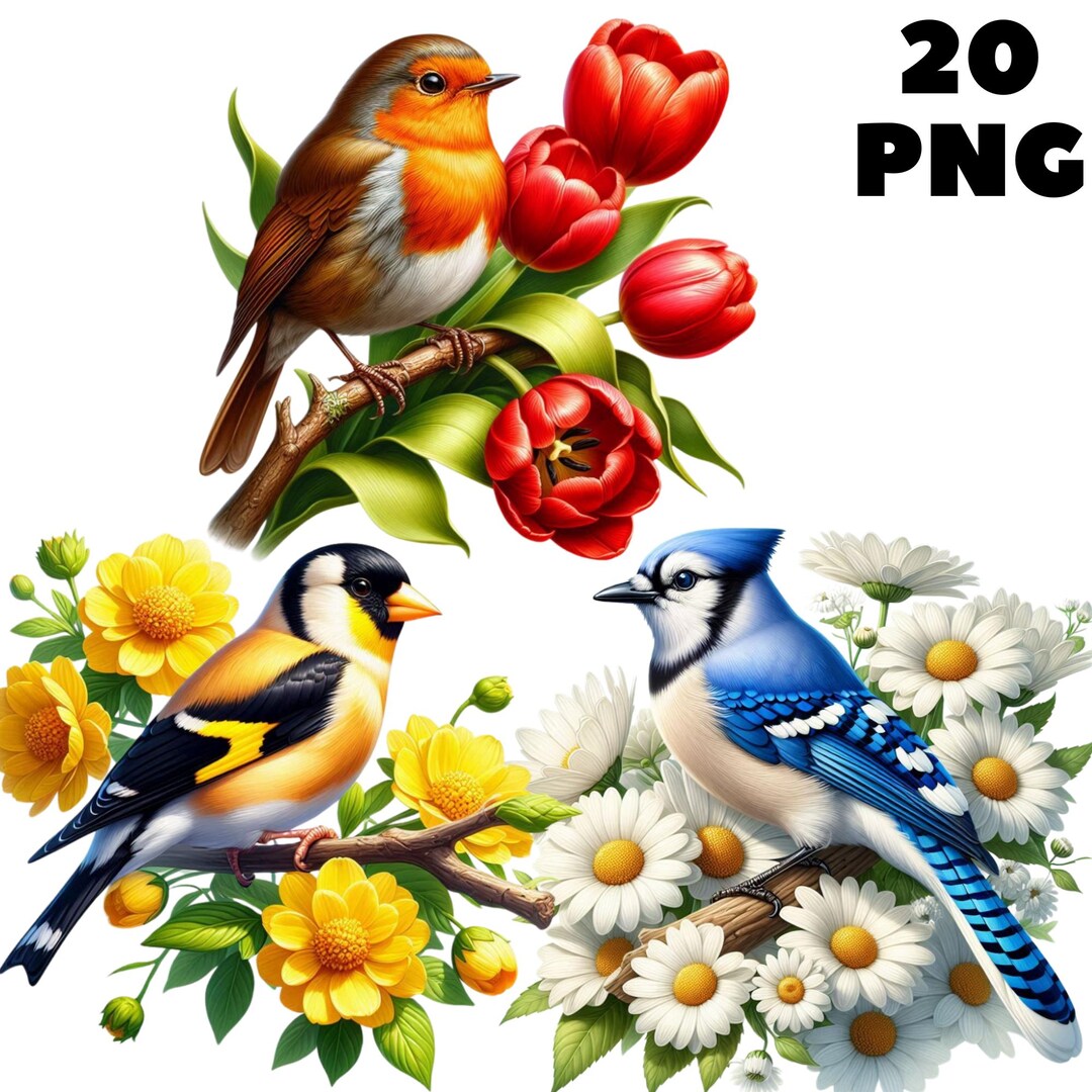 20 PNG, Floral Birds Clipart Bundle, Spring Birds Clipart, Blossom Bird ...