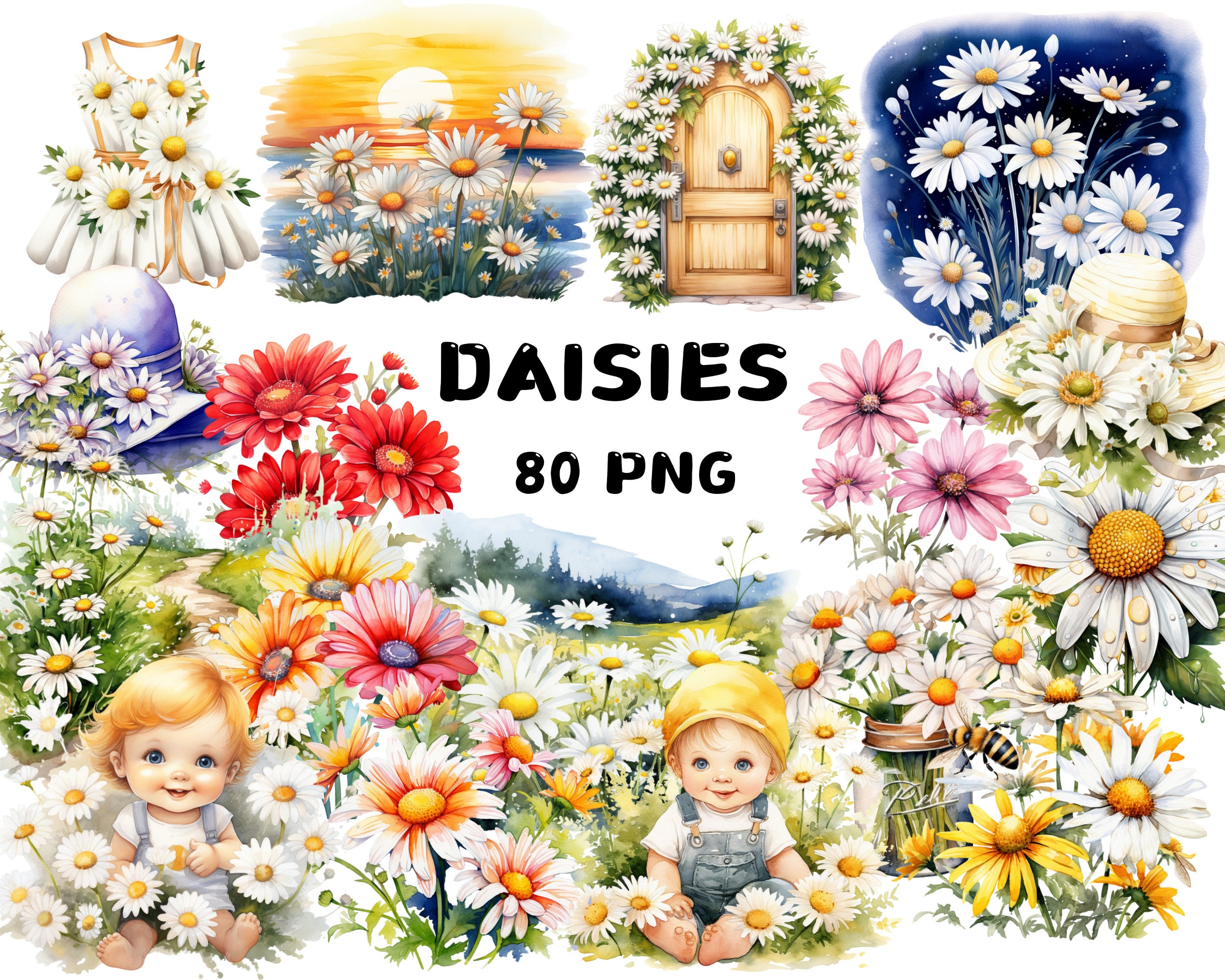 80 Watercolor Daisies Clipart Spring Flower, Floral Bouquet, White ...