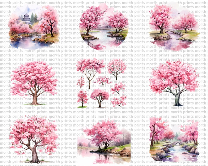 Watercolor Sakura Clipart PNG, Cherry Blossom Branches, Spring Flowers ...
