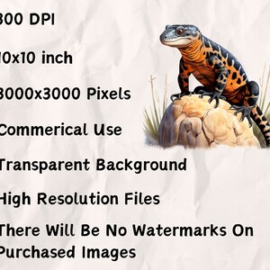 45 Watercolor Reptiles Clipart , Snake, Turtle, Crocodile, Lizard ...