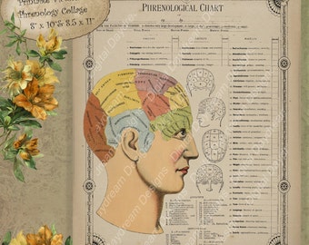 Phrenology Chart - Etsy