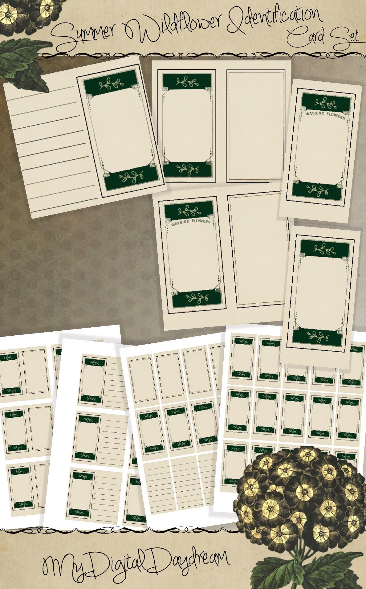 Instant Download Printable Wildflower Identification Cards for Nature ...