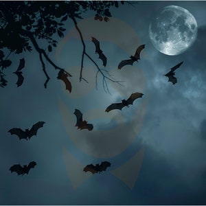 Bundle Pc/tablet Digital Wallpaper Bats at Night - Etsy