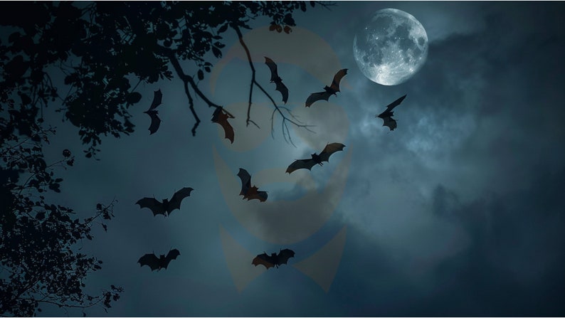Bundle Pc/tablet Digital Wallpaper Bats at Night - Etsy
