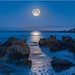 Bundle Pc/tablet Digital Wallpaper Moon Over the Ocean - Etsy UK