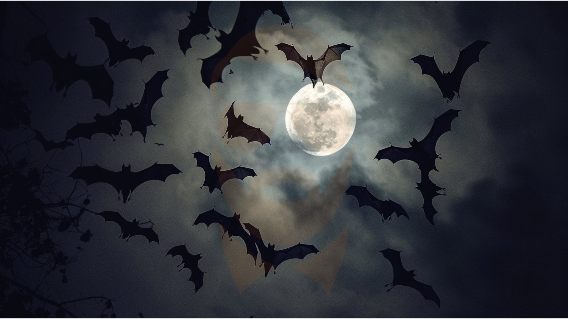 Bundle Pc/tablet Digital Wallpaper Bats at Night - Etsy