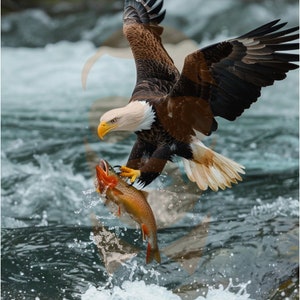 Bundle Phone Digital Wallpaper Eagle Catching a Fish - Etsy