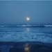 Bundle Pc/tablet Digital Wallpaper Moon Over the Ocean - Etsy UK