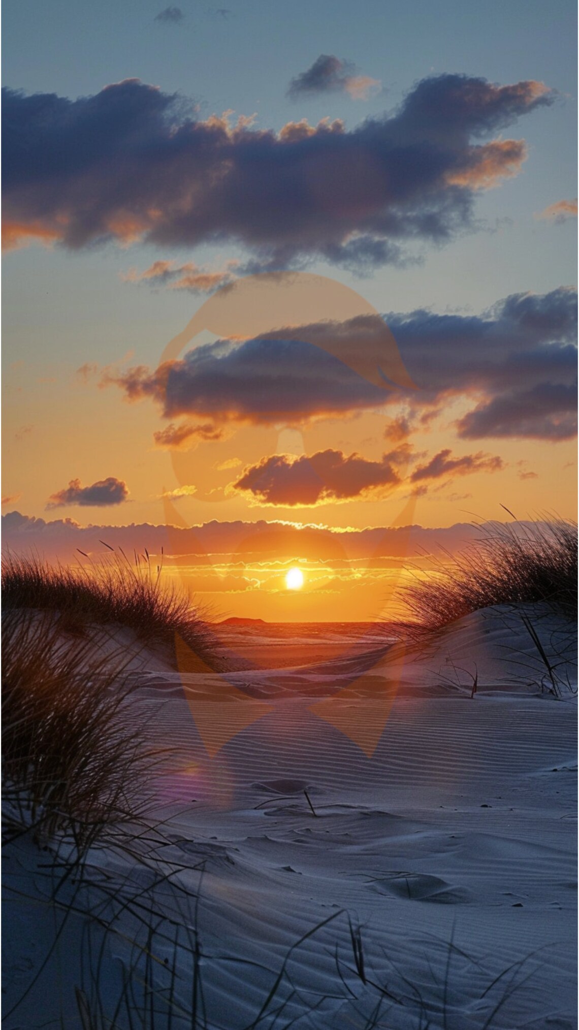 Bundle Digital Phone Wallpaper Sunrise at the Beach - Etsy