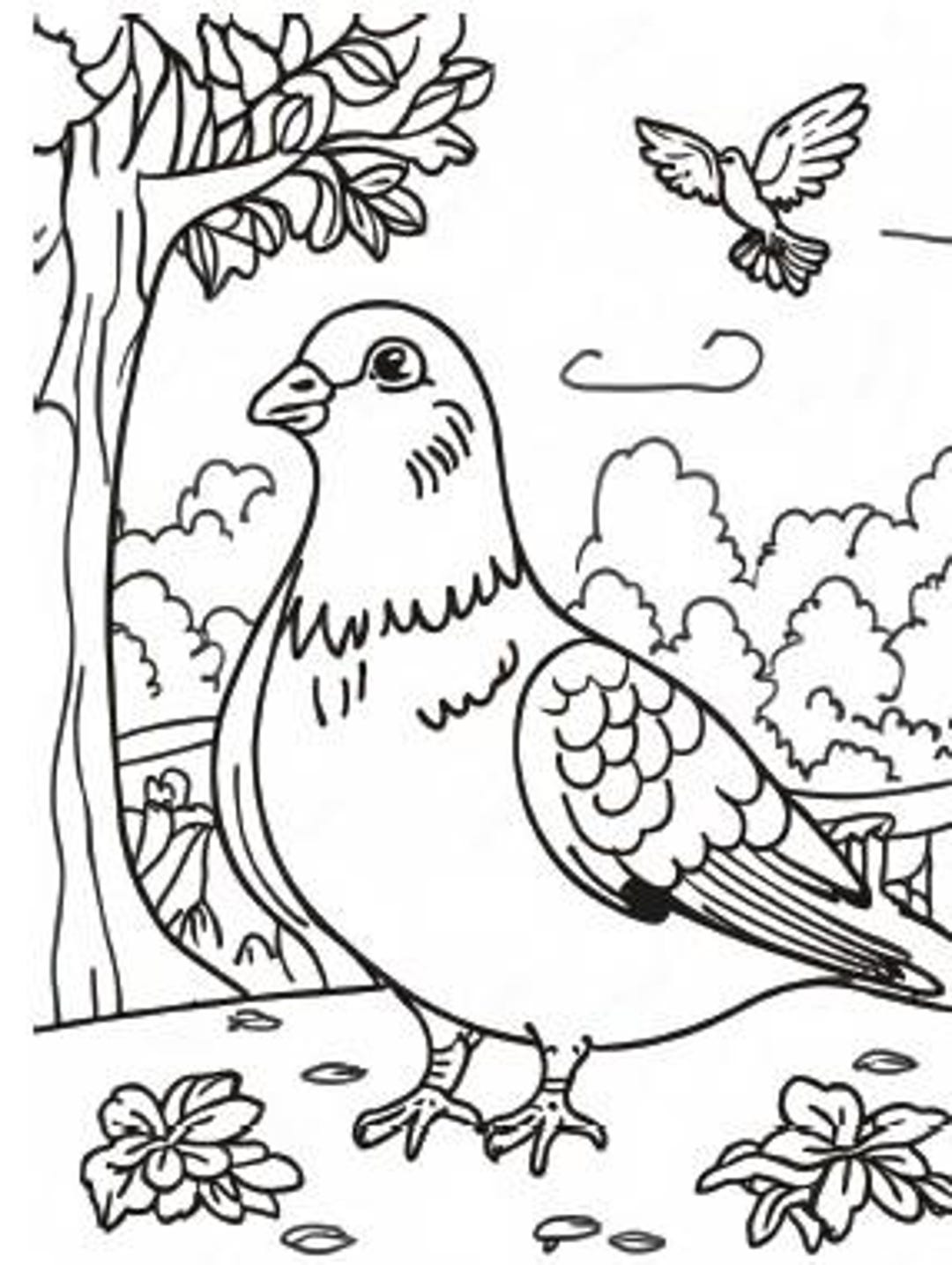 25 Birds Coloring Pages - Etsy