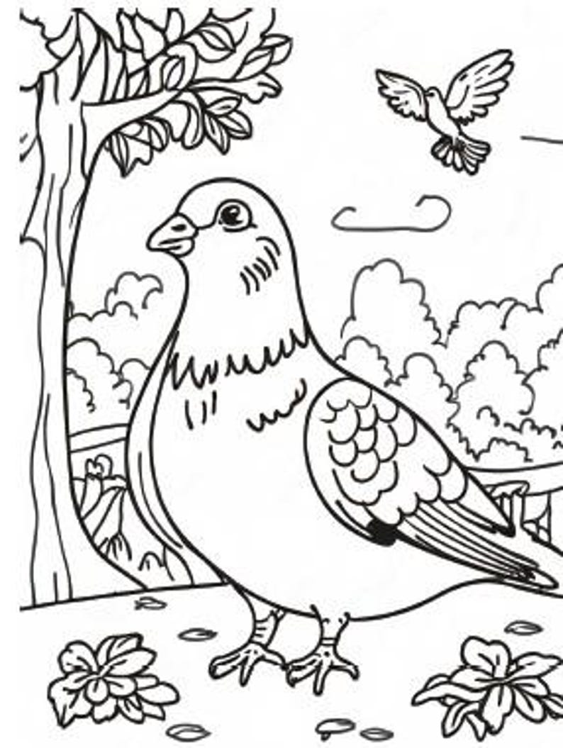 25 Birds Coloring Pages - Etsy