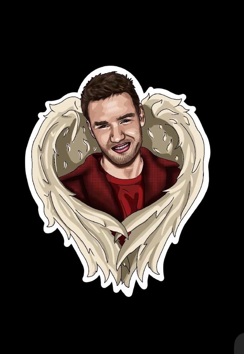 Liam Payne Sticker Tribute Sticker One Direction Laptop Sticker Liam ...