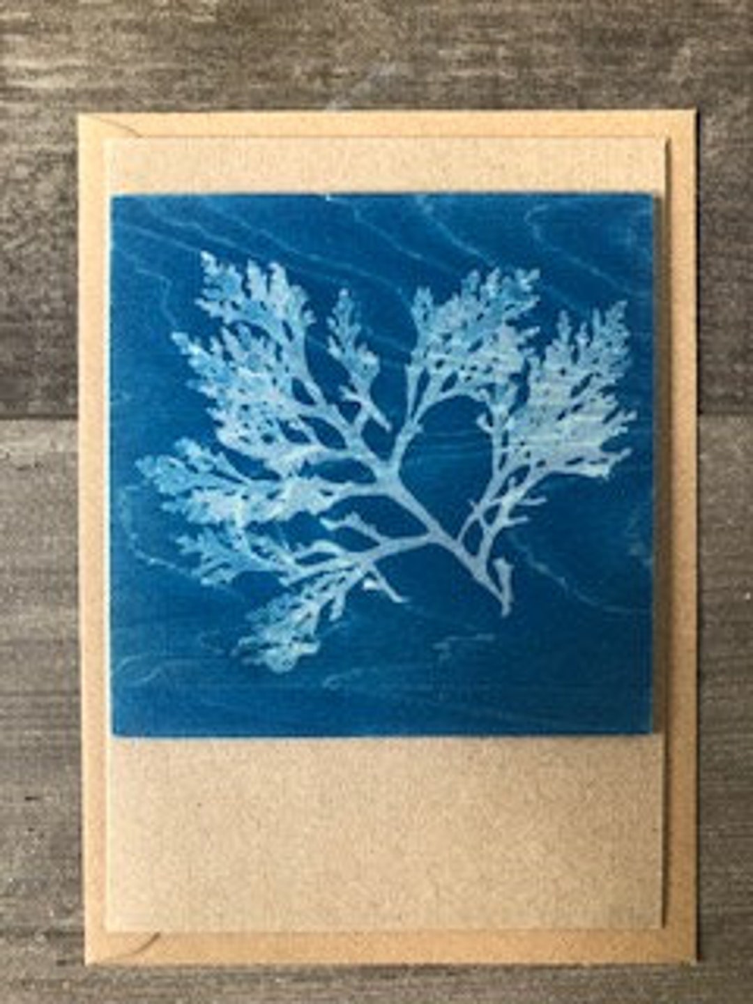 Cyanotype Greetings Cards Blank Inside - Etsy