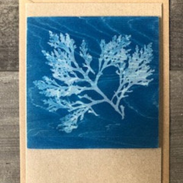 Cyanotype Cards - Etsy UK