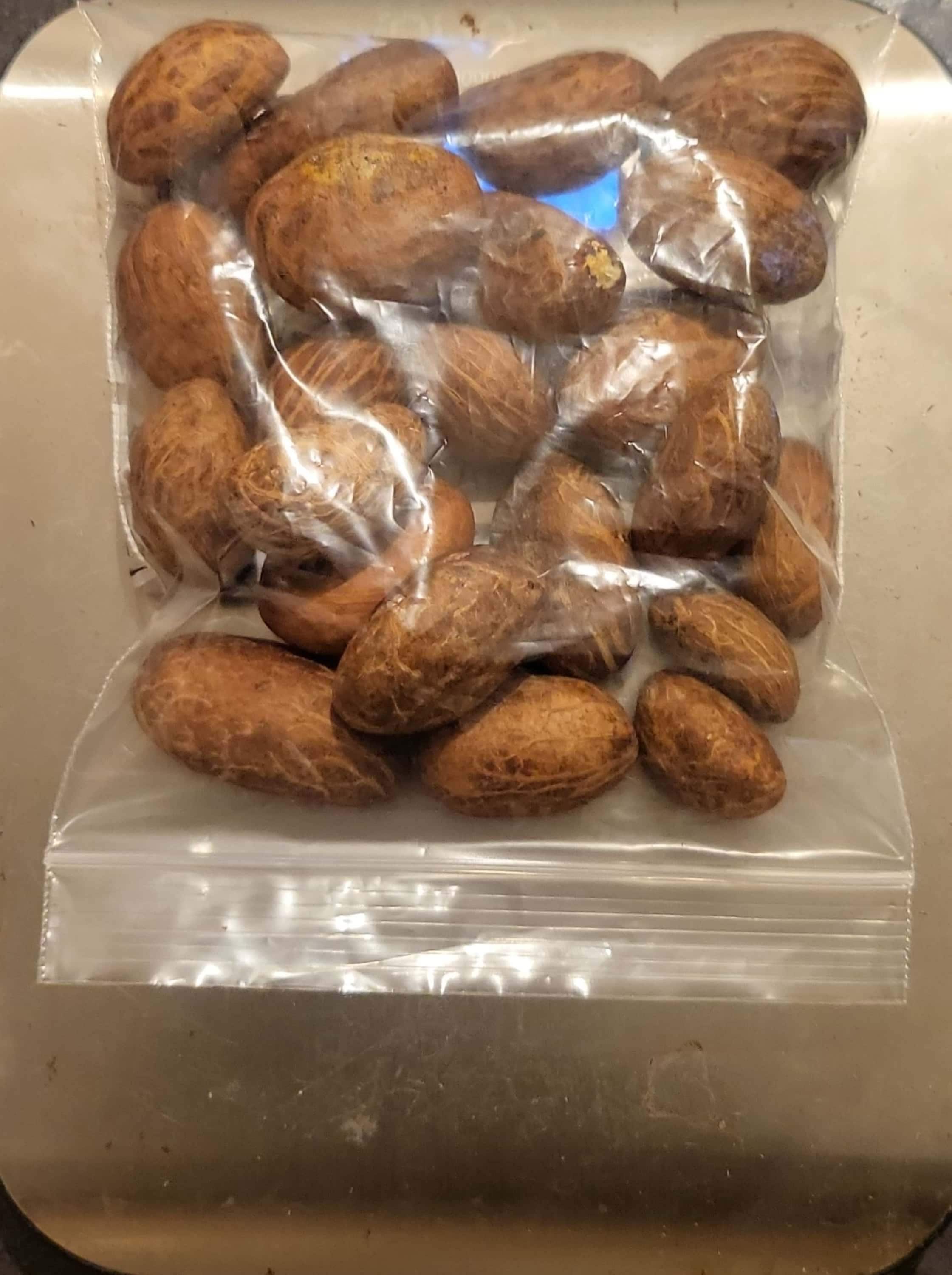 Bitter Kola Nut, Fresh Garcinia Kola - Organic African Orogbo 100g - Etsy