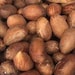Bitter Kola Nut, Fresh Garcinia Kola - Organic African Orogbo 100g - Etsy