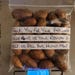 Bitter Kola Nut, Fresh Garcinia Kola - Organic African Orogbo 100g - Etsy