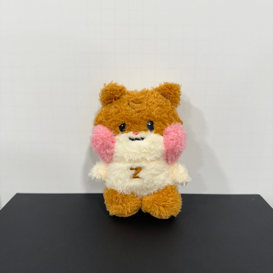 Zeroni ZB1 Plush Keyring: Fan Made KPOP Keychain - Etsy