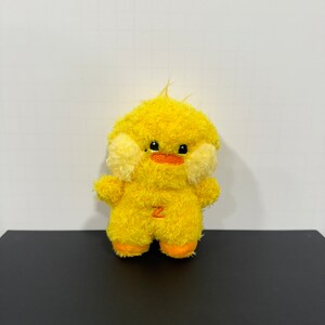 Zeroni ZB1 KPOP Plush Keyring - Zerobaseone Fan Made Keychain - Perfect ...