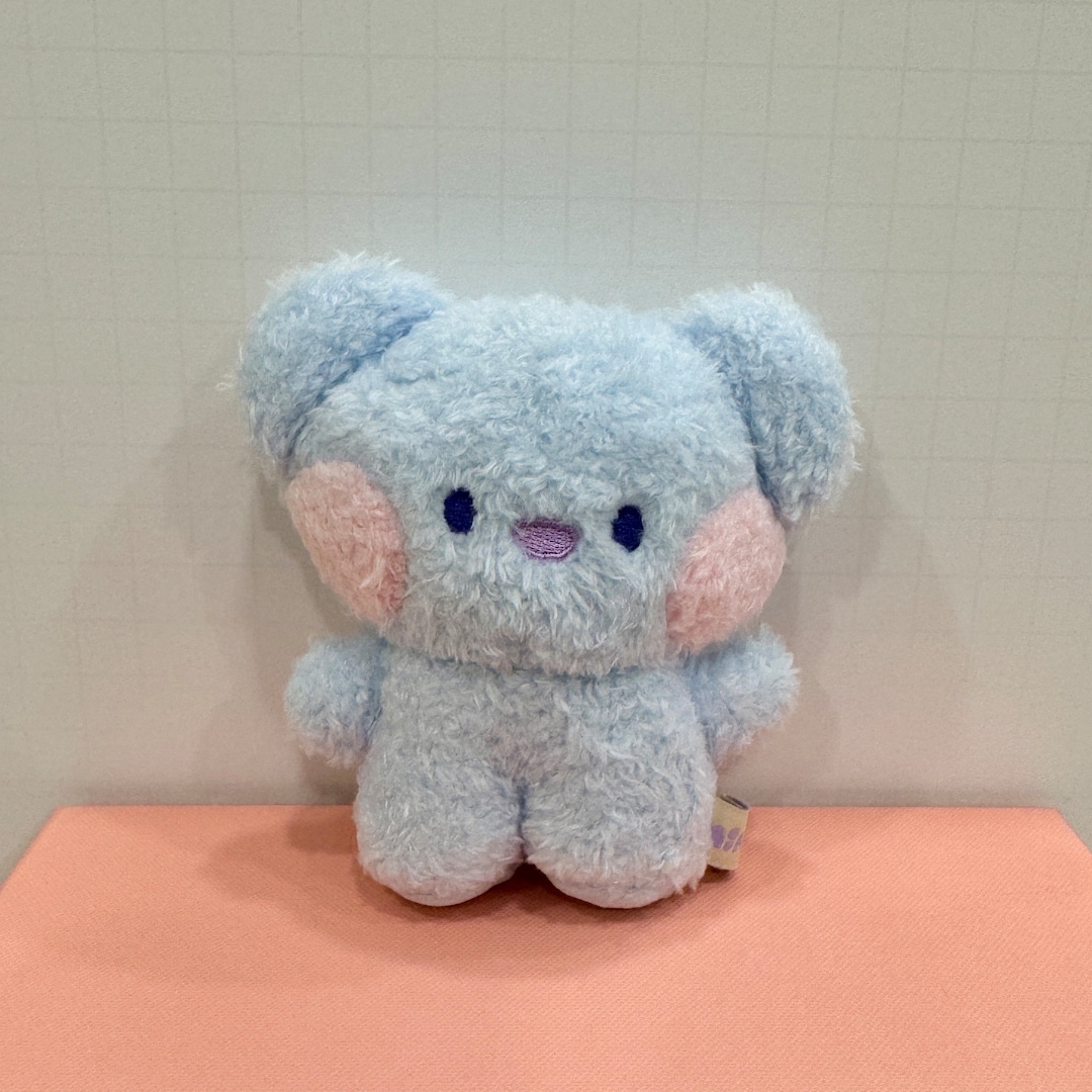 BT21 BTS Kpop Plush Keychain - Cute Gift for ARMY Fans - Soft BTS Merch ...