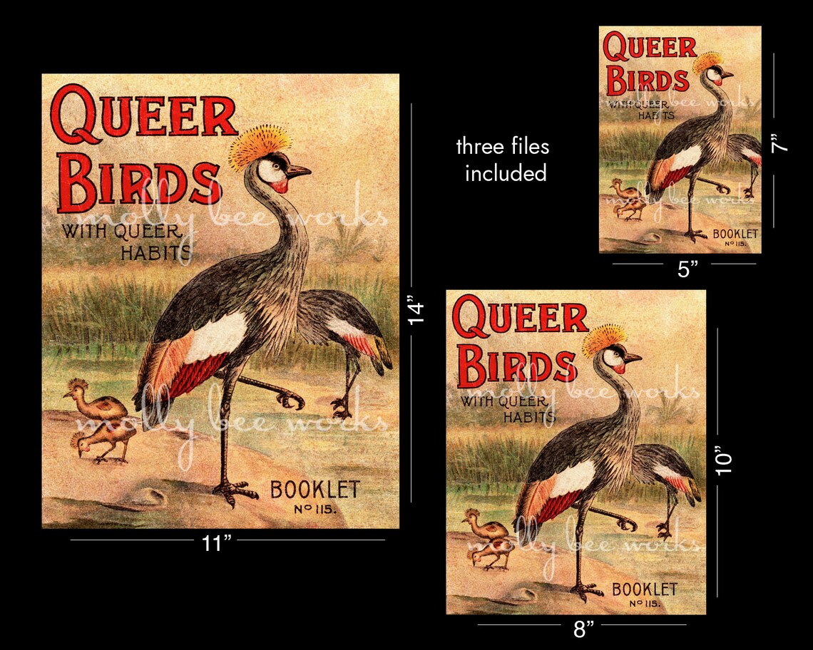 Queer Birds Crowned Crane Vintage Antique Illustration Printable Wall ...