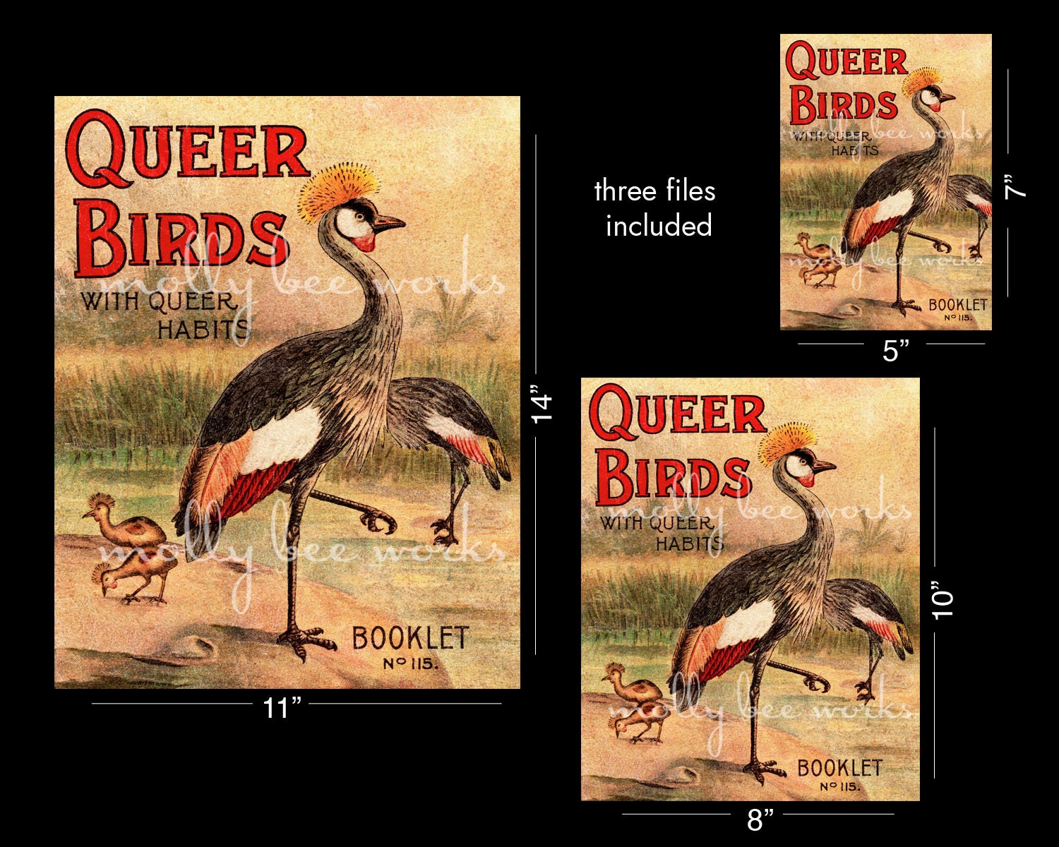 Queer Birds Crowned Crane Vintage Antique Illustration Printable Wall ...