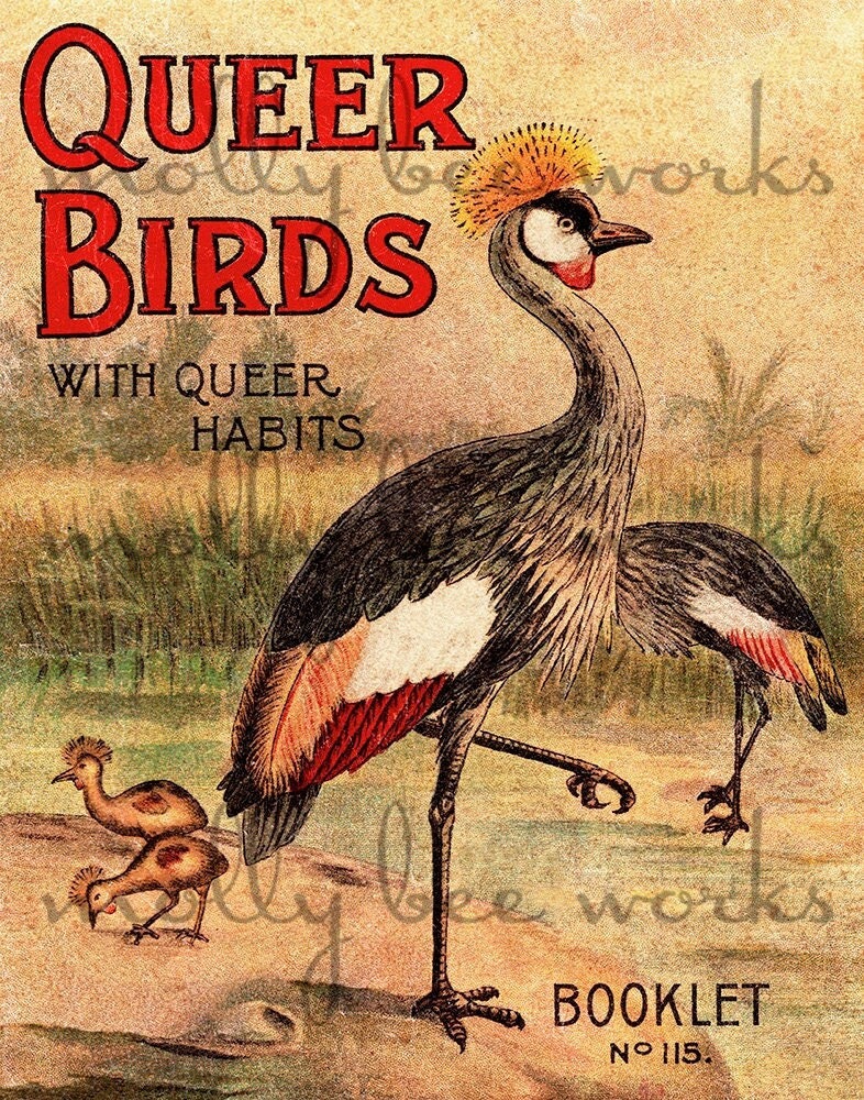 Queer Birds Crowned Crane Vintage Antique Illustration Printable Wall ...