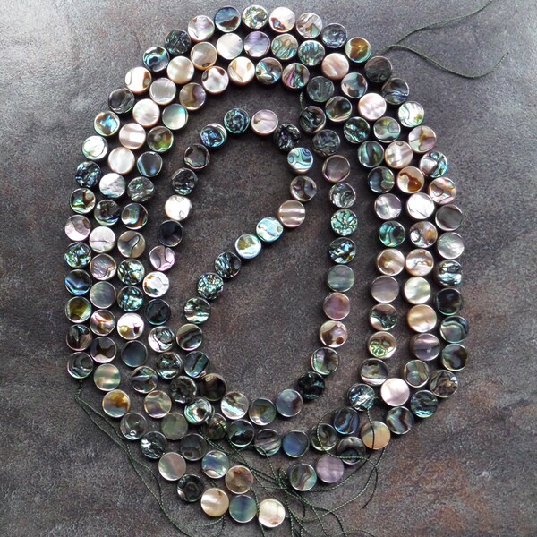 Blue Abalone Shell - Etsy