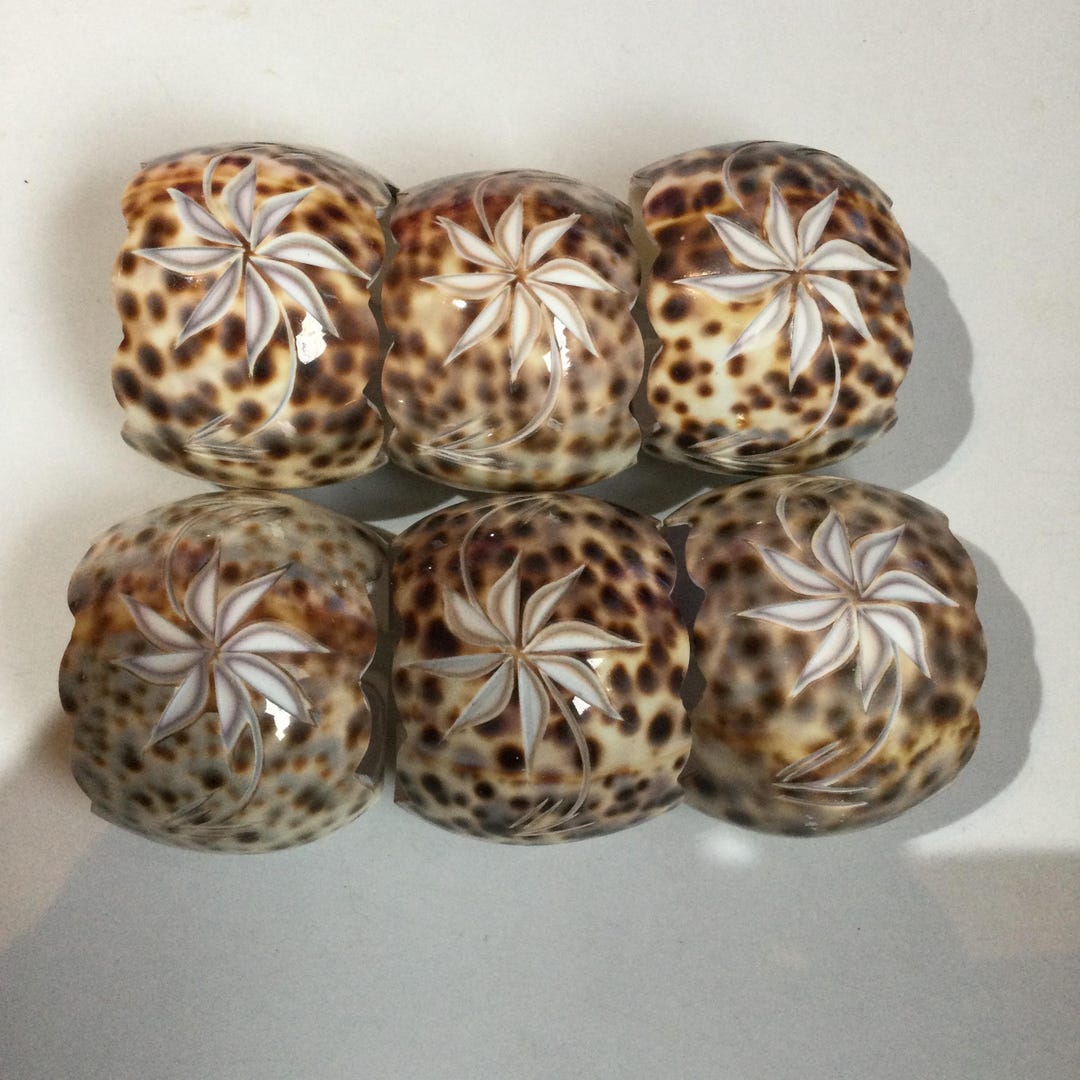 Set of 6 Carved Cowrie Shell NAPKIN RINGS - Etsy