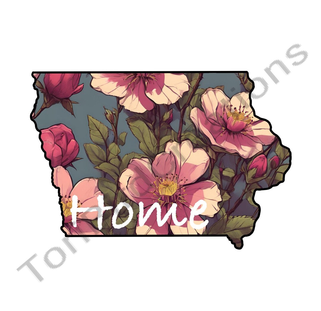 Iowa Wild Prairie Rose State Flower With Home Statement - Etsy