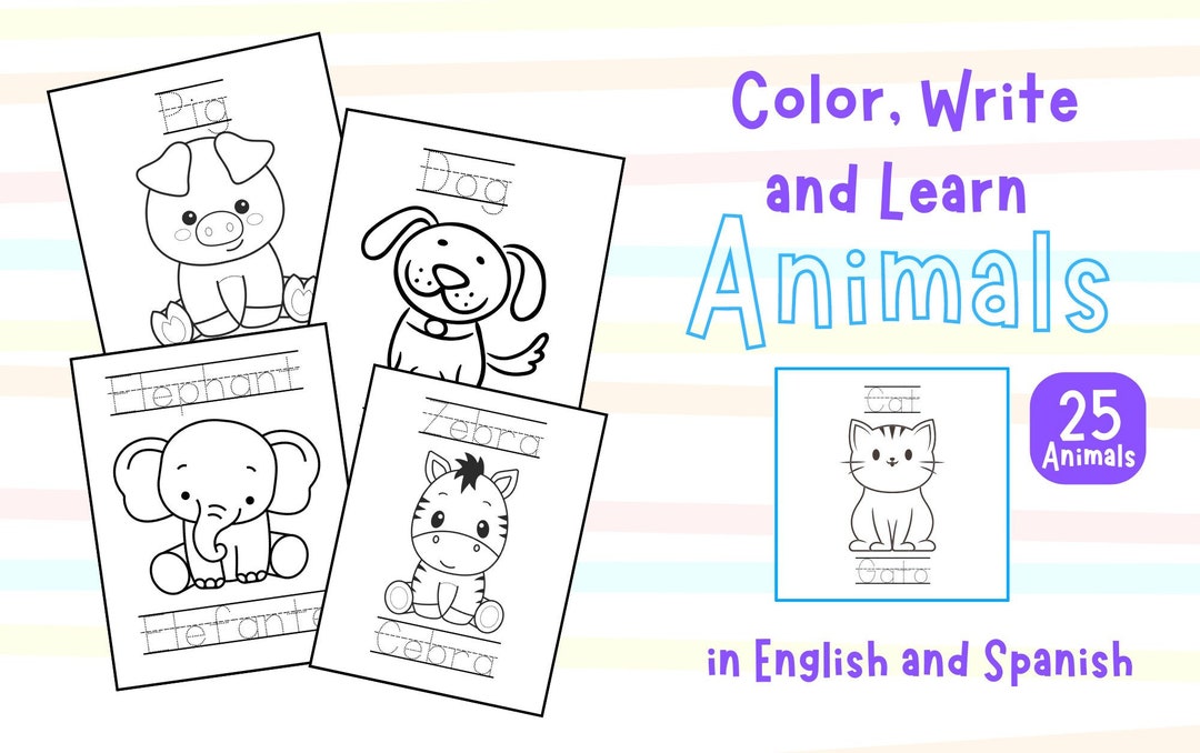 Color and Learn Animals in English and Spanish - Etsy