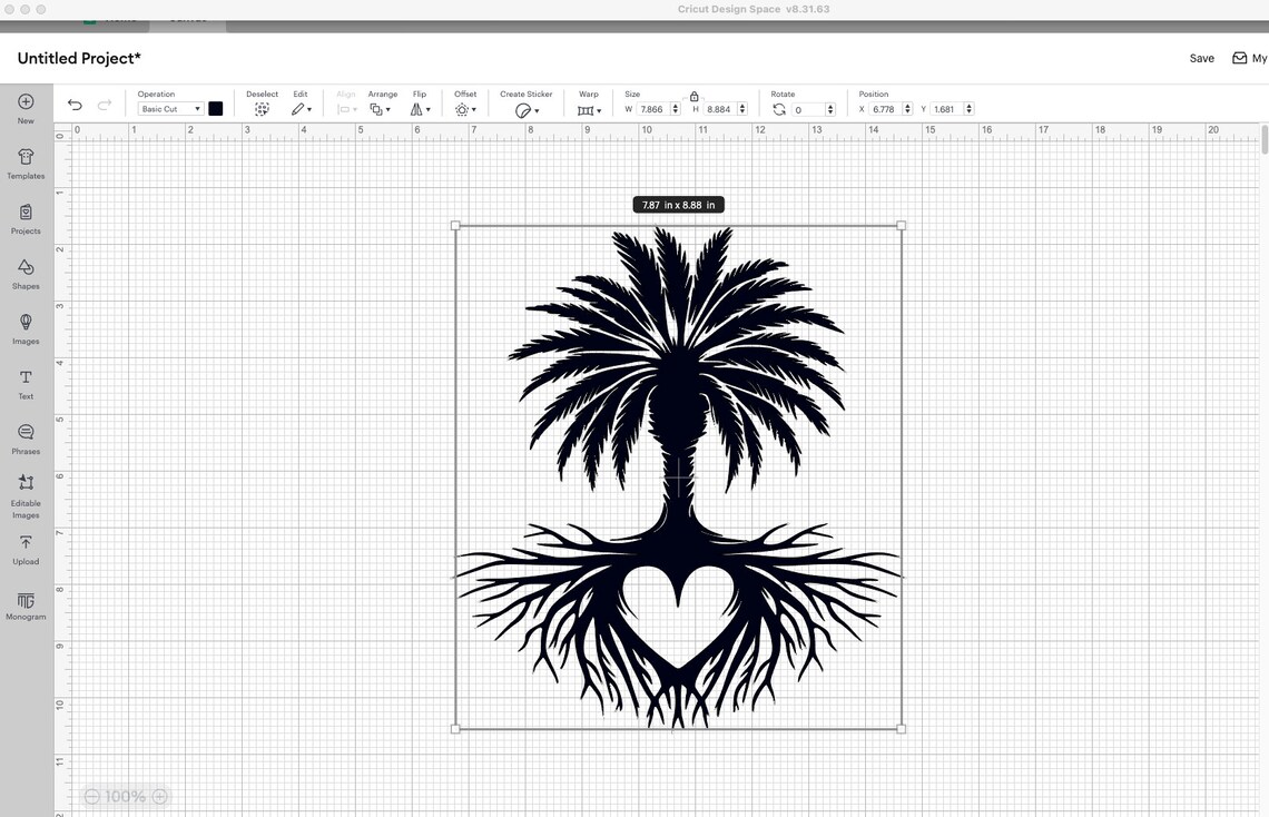 Realistic Palmetto Tree Logo With Heart-shaped Roots, Black and White ...