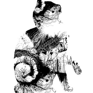 Screen Print Called CATS Limited Edition Artwork. Handmade Lucky Nature ...