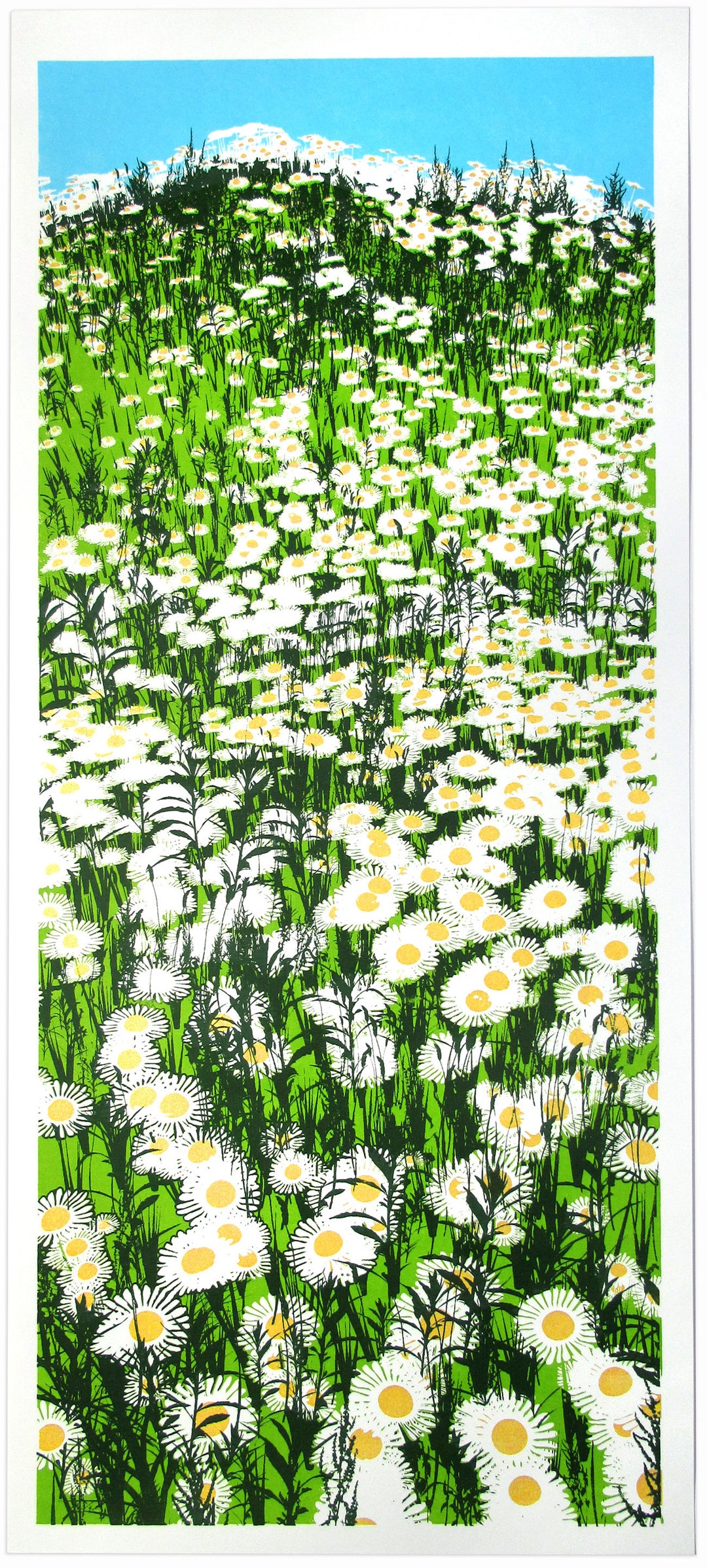 Daisy Field - Etsy