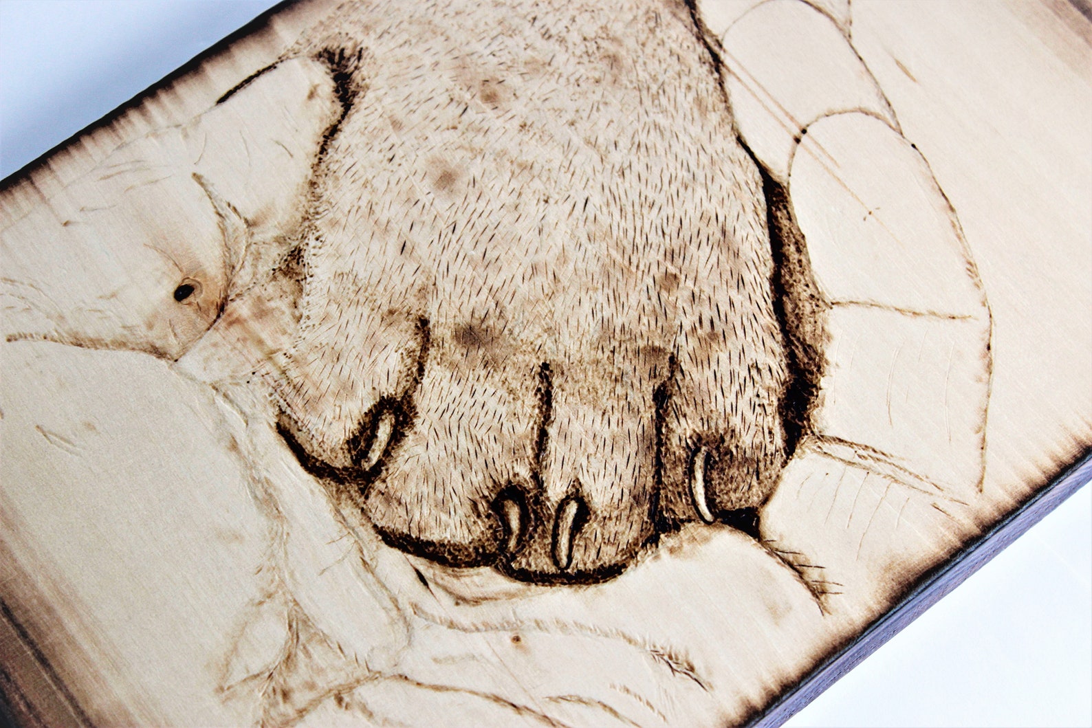 Dog Paw in Hand Wood Burned Original Pyrograpy Art Animal - Etsy
